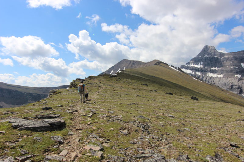 Mt Allan Traverse (Centennial Ridge) – Boot Wreckers