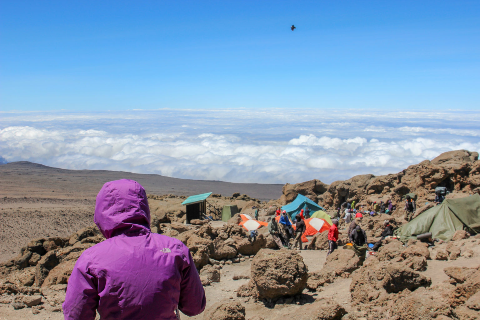 Day 6 Mount Kilimanjaro – Barafu Camp to Mweka Camp – Boot Wreckers