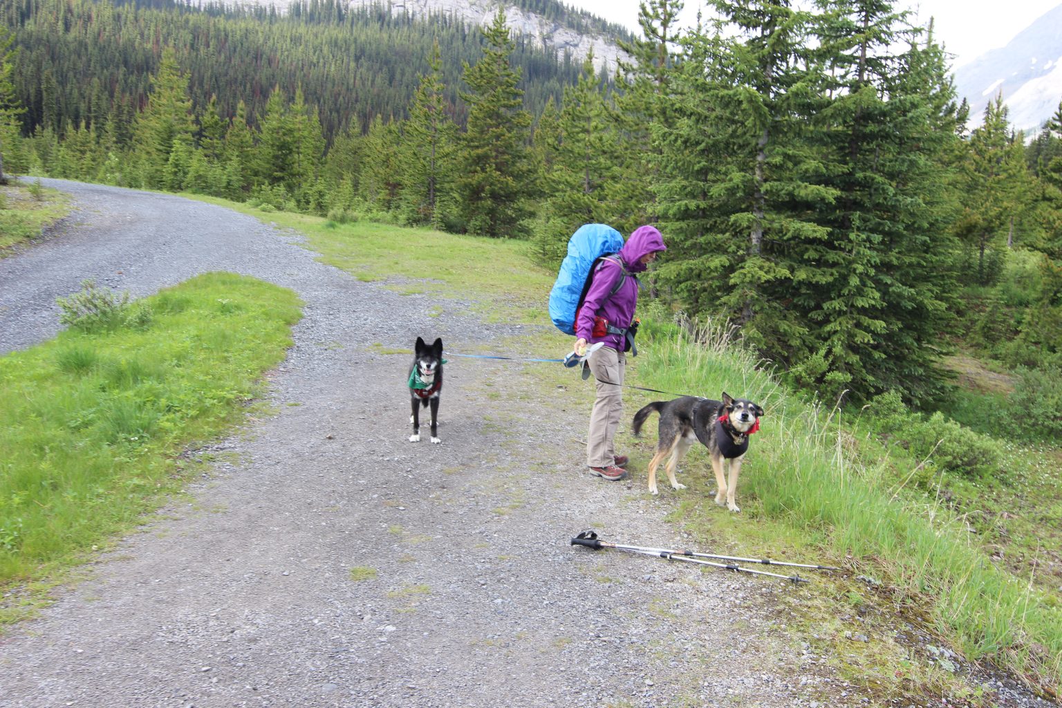 Day 1 Leman Lake, Banff NP, Alberta – Boot Wreckers