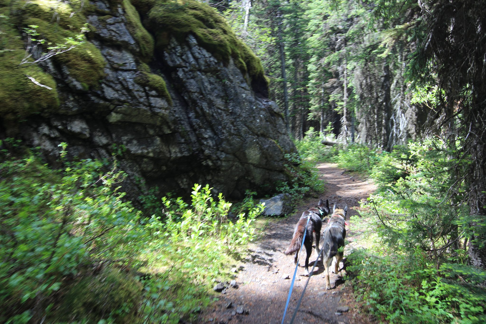 Day 1 Leman Lake, Banff NP, Alberta – Boot Wreckers