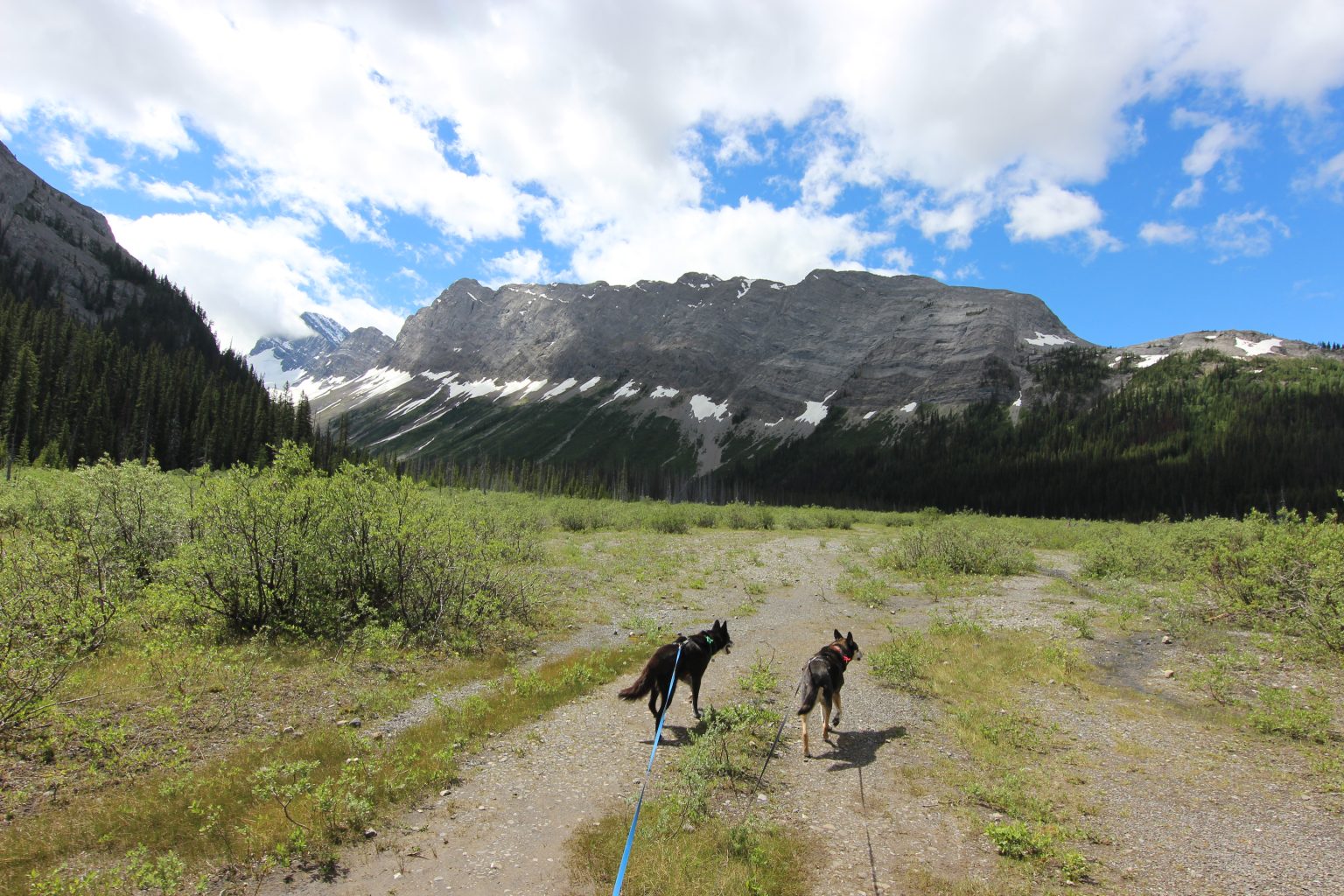 Day 1 Leman Lake, Banff NP, Alberta – Boot Wreckers