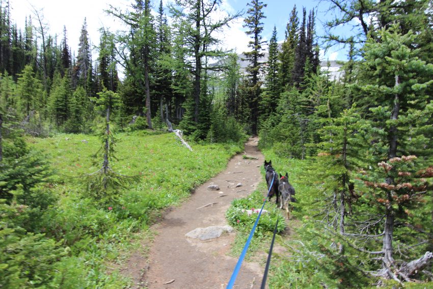 Day 1 Leman Lake, Banff NP, Alberta – Boot Wreckers