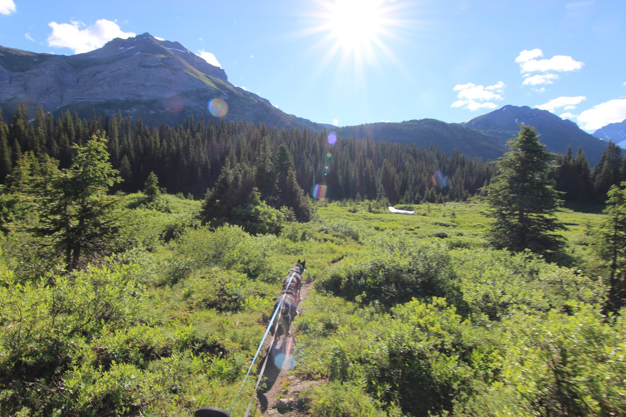 Day 2 Leman Lake, Banff NP, Alberta – Boot Wreckers