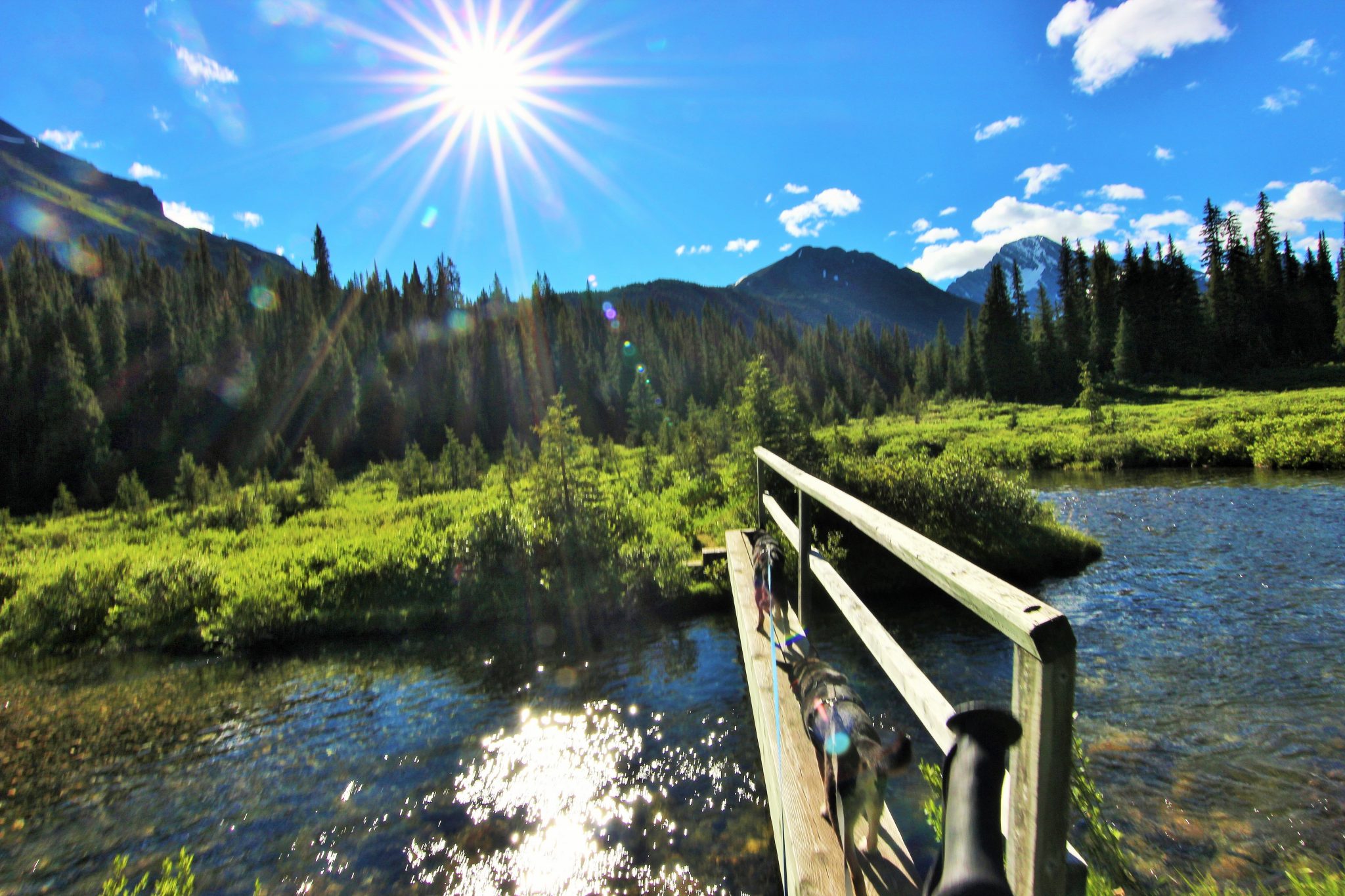 Day 2 Leman Lake, Banff NP, Alberta – Boot Wreckers