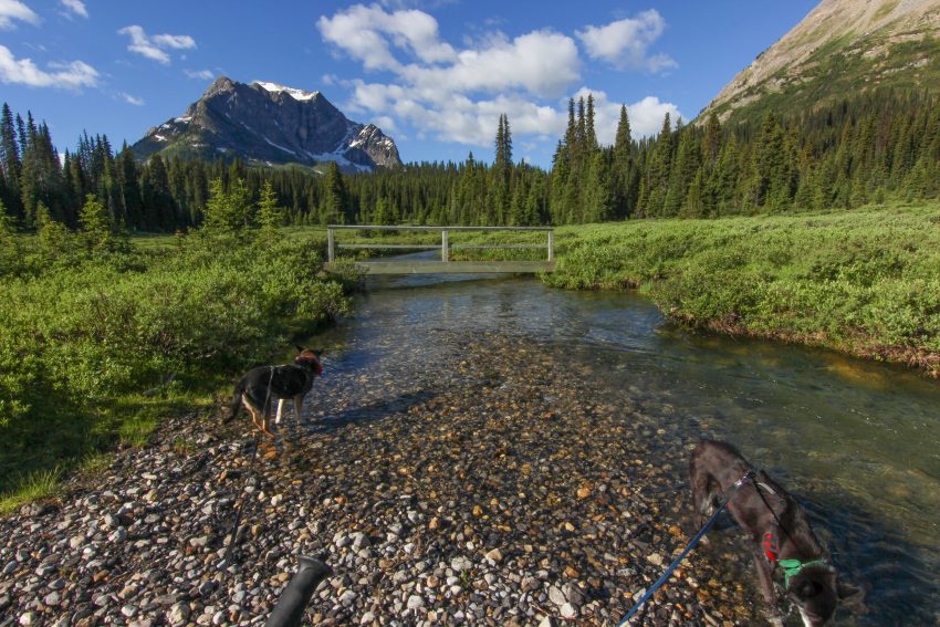 Day 2 Leman Lake, Banff NP, Alberta – Boot Wreckers