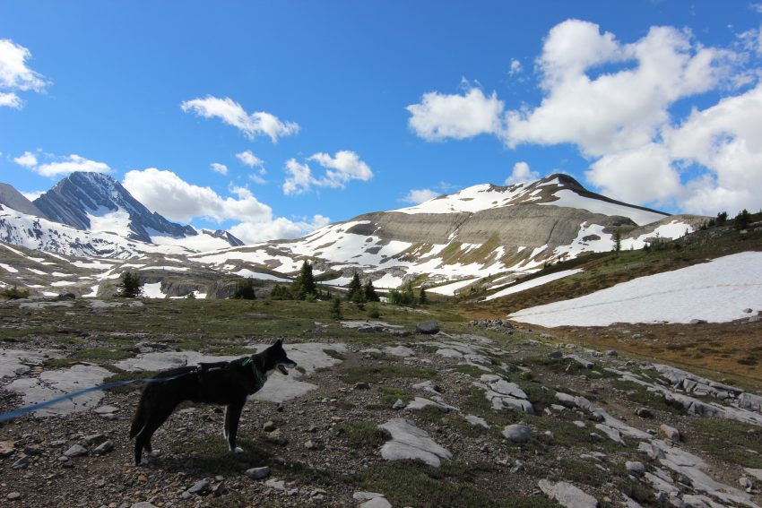 Day 2 Leman Lake, Banff NP, Alberta – Boot Wreckers