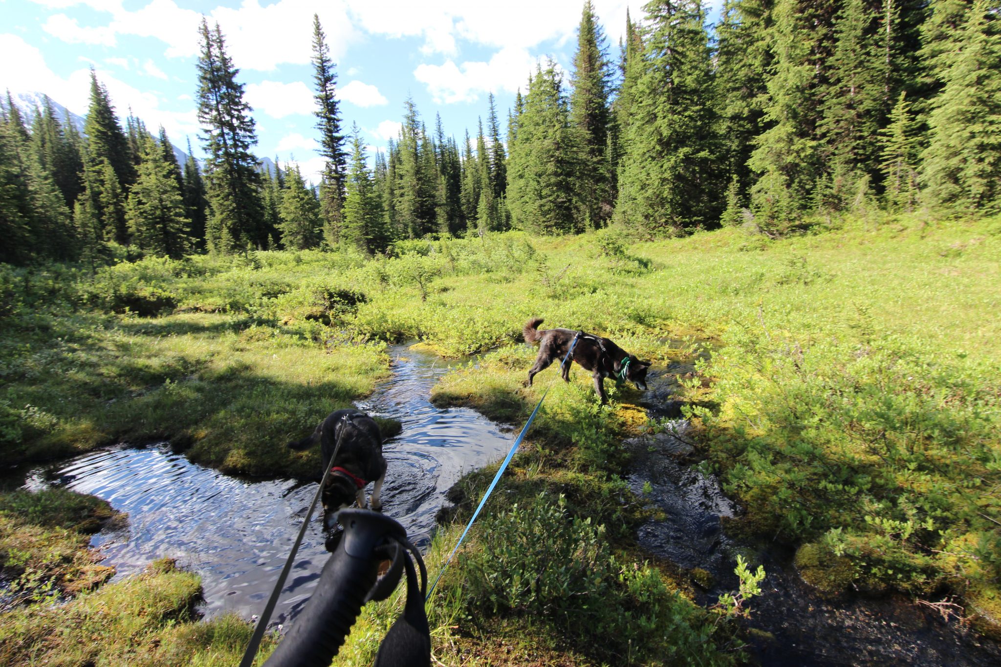 Day 2 Leman Lake, Banff NP, Alberta – Boot Wreckers