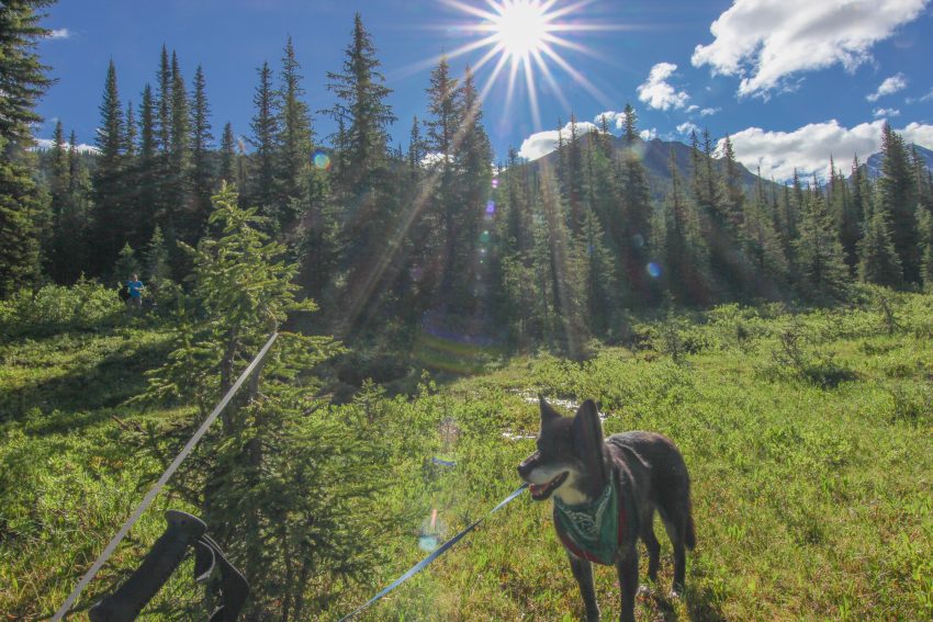 Day 2 Leman Lake, Banff NP, Alberta – Boot Wreckers