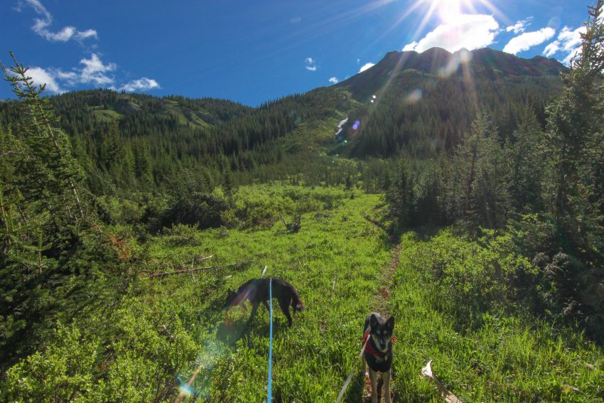 Day 2 Leman Lake, Banff NP, Alberta – Boot Wreckers