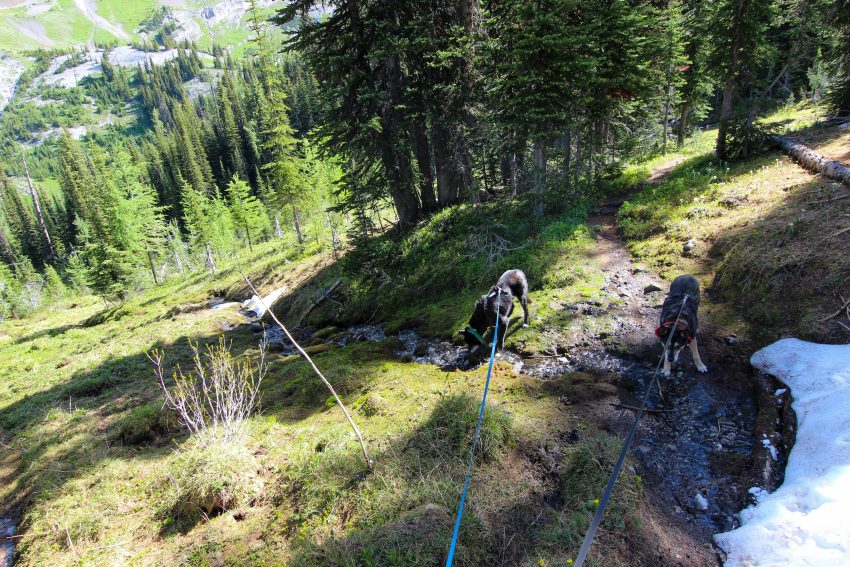 Day 2 Leman Lake, Banff NP, Alberta – Boot Wreckers